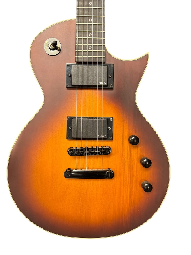 Fesley Deluxe Edition 6 String Electric Guitar | Superior Outlet and ...